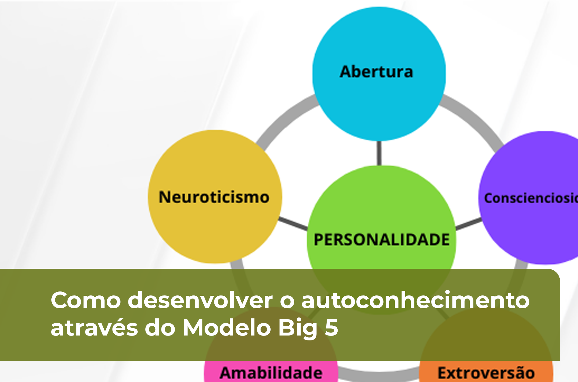 Modelo Big 5 e o Autoconhecimento - Fundação Mudes